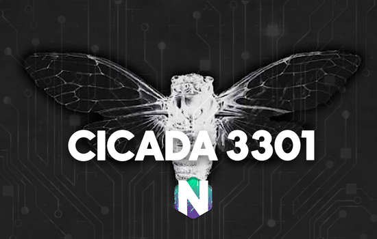 Netscape : Cicada 3301, des énigmes sans réponse - Par La rédaction | Arrêt sur images