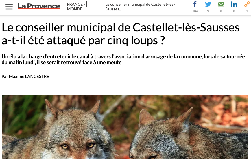 "Attaque" contre un homme dans les Alpes : revoilà la peur du loup ...